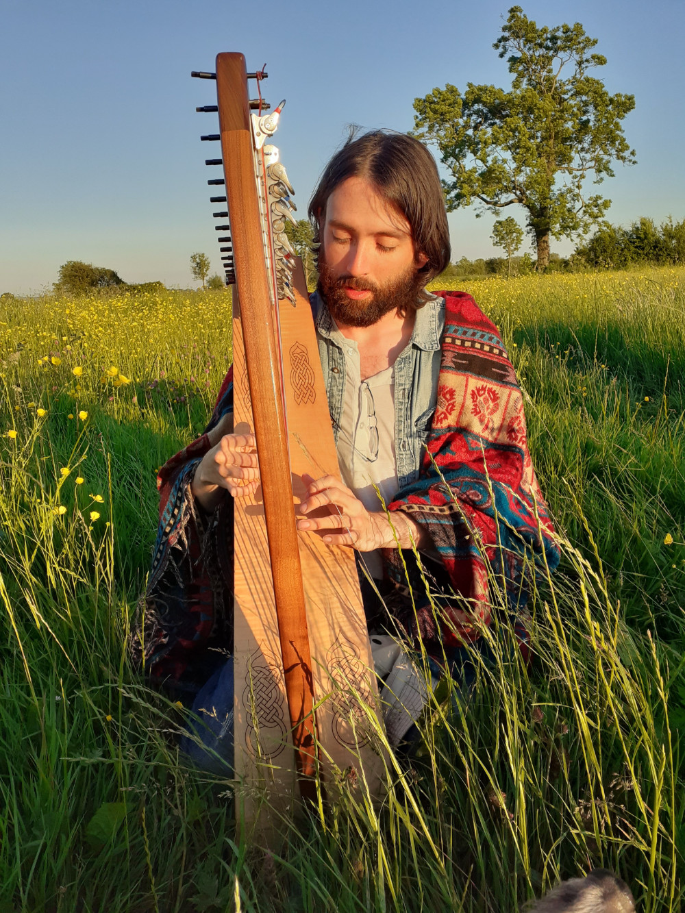 Bio - Owen Vaughan Hanner