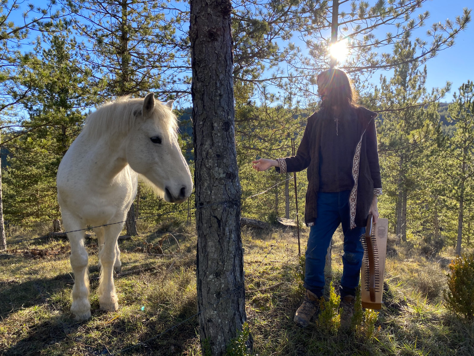 Bio - Owen Vaughan Hanner