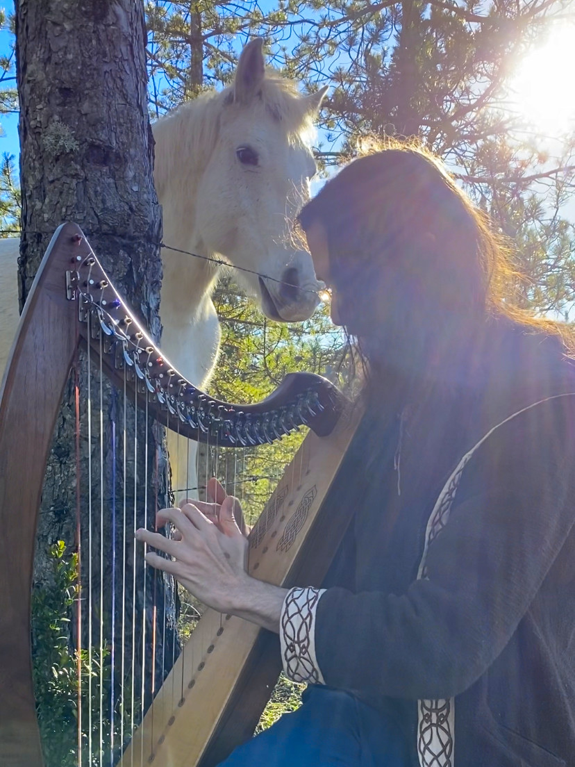 Bio - Owen Vaughan Hanner