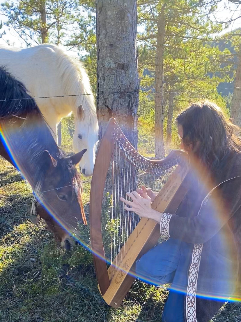 Bio - Owen Vaughan Hanner